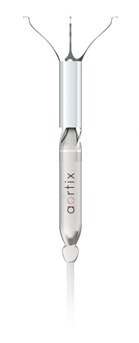 Procyrion Raises $30 Million Through Phase 4 Financing for Aortix ...