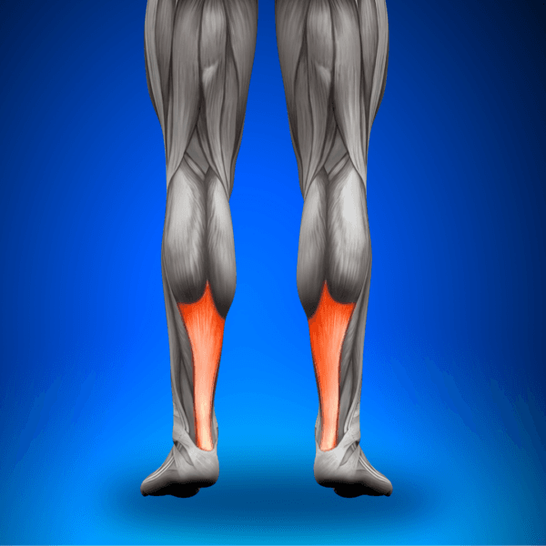 A Year of Advances: US Soft Tissue Repair Market's Remarkable ...